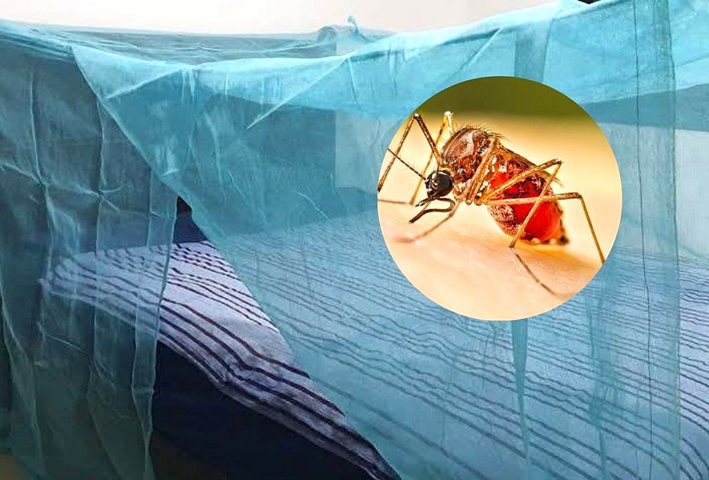 IMSS pide poner pabellones contra el dengue